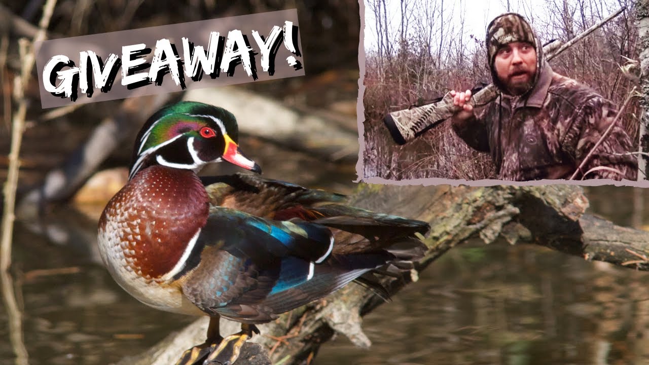 My Favorite Duck Hunt of the Year! (*Cobbtown) Enter to Win! - YouTube