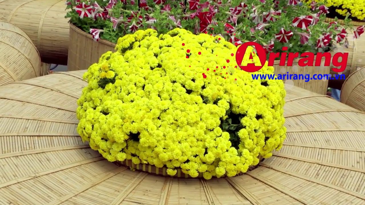 Video Nền Karaoke Arirang Vol 61 - HD 2017 Bản Đầy Đủ SmartK - YouTube
