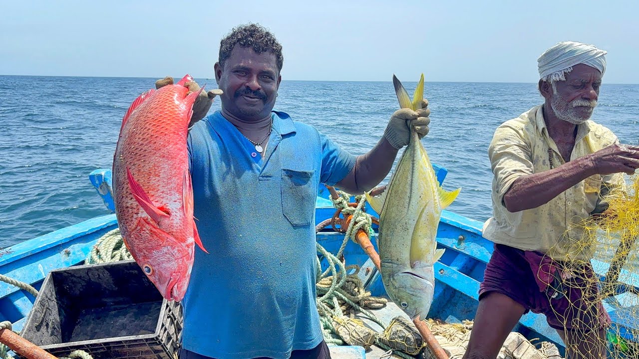 Amazing !!! Second Day We are Caught Lot of Red shapper & Emperor Fish ...