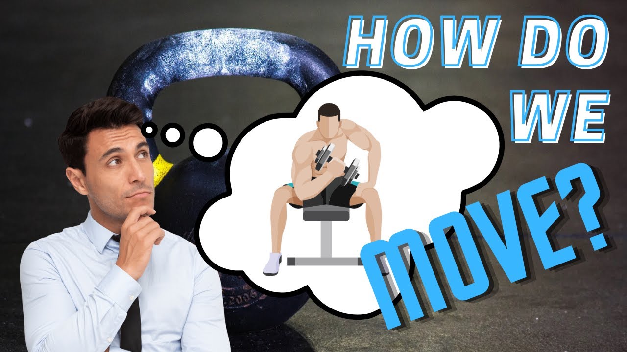 Foundations in Fitness - How the body moves! - YouTube