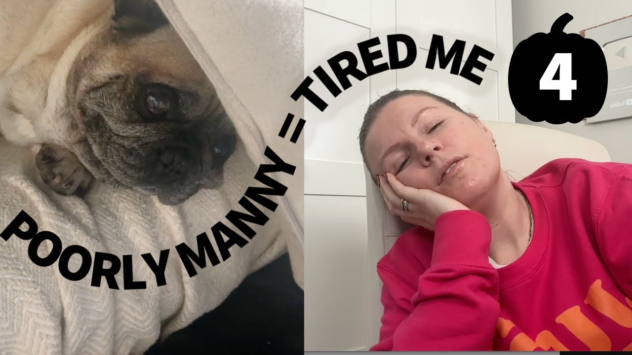 Poorly Dog = Tired Me // VLOGOBER 4/15 - YouTube