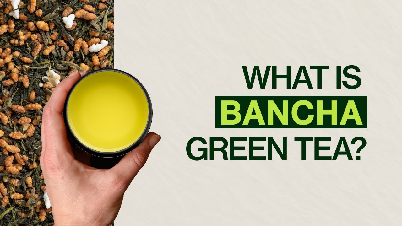 What is Bancha Tea? - YouTube