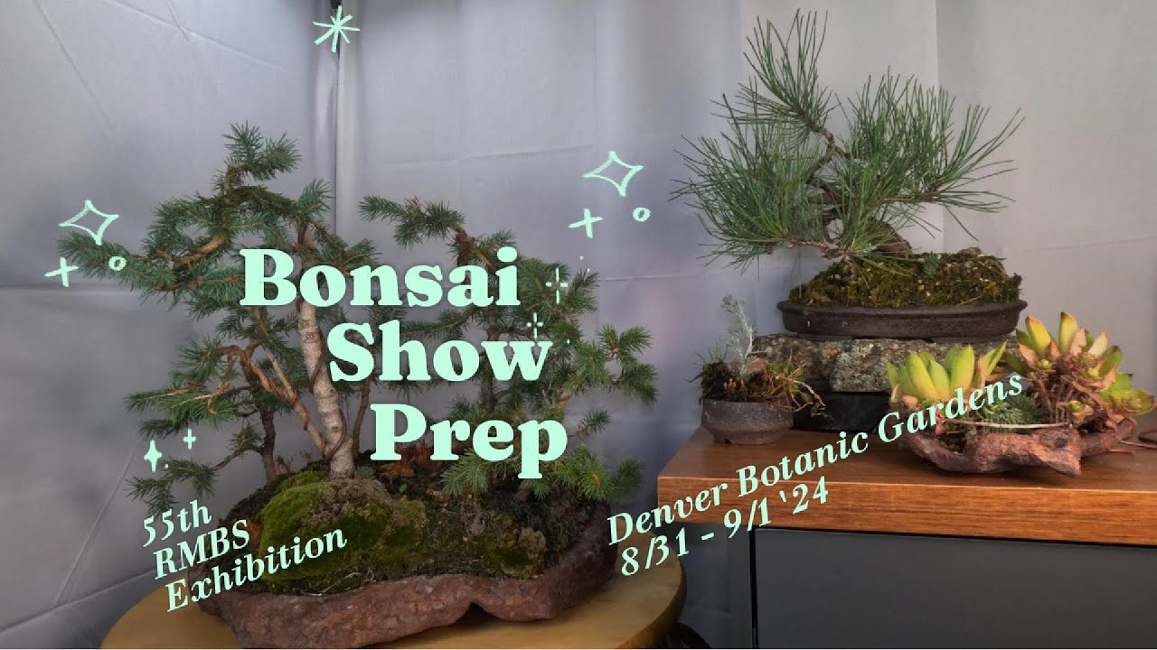 Apprentice Time: Prepping for my 2nd club show - YouTube