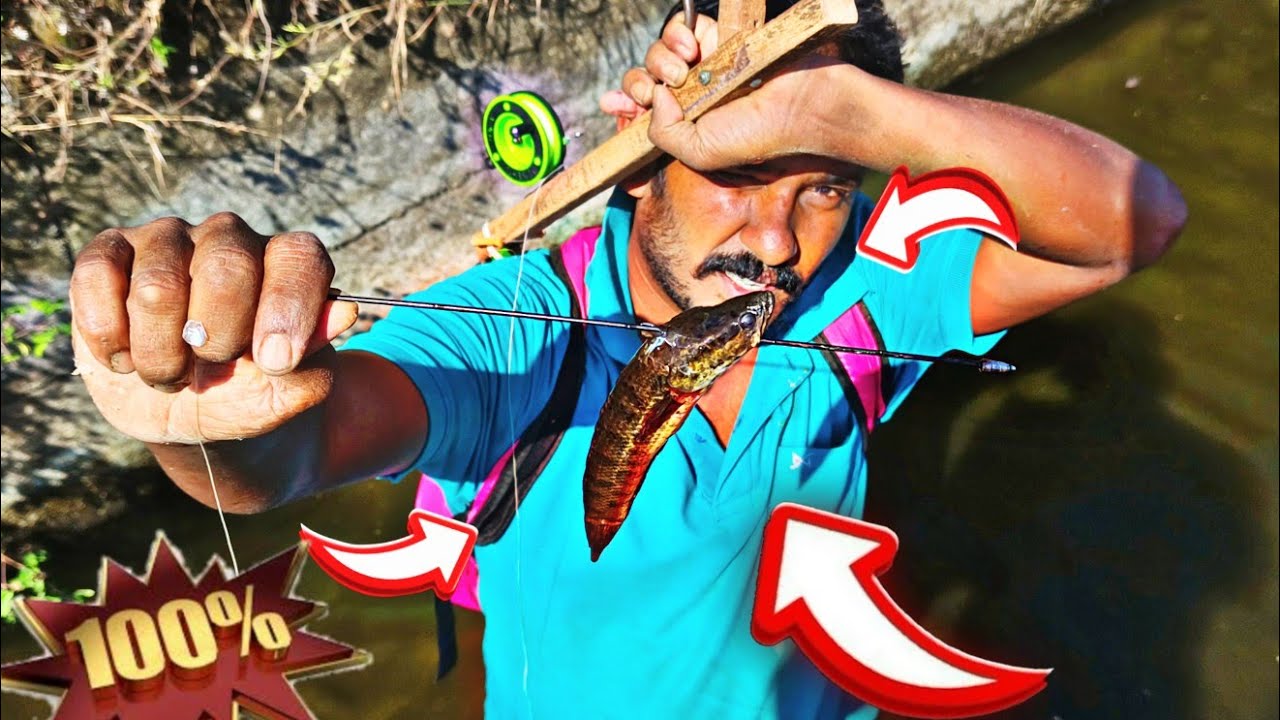 fishing video Tamil kodiveri dam | sphere fishing | slingshot fishing ...