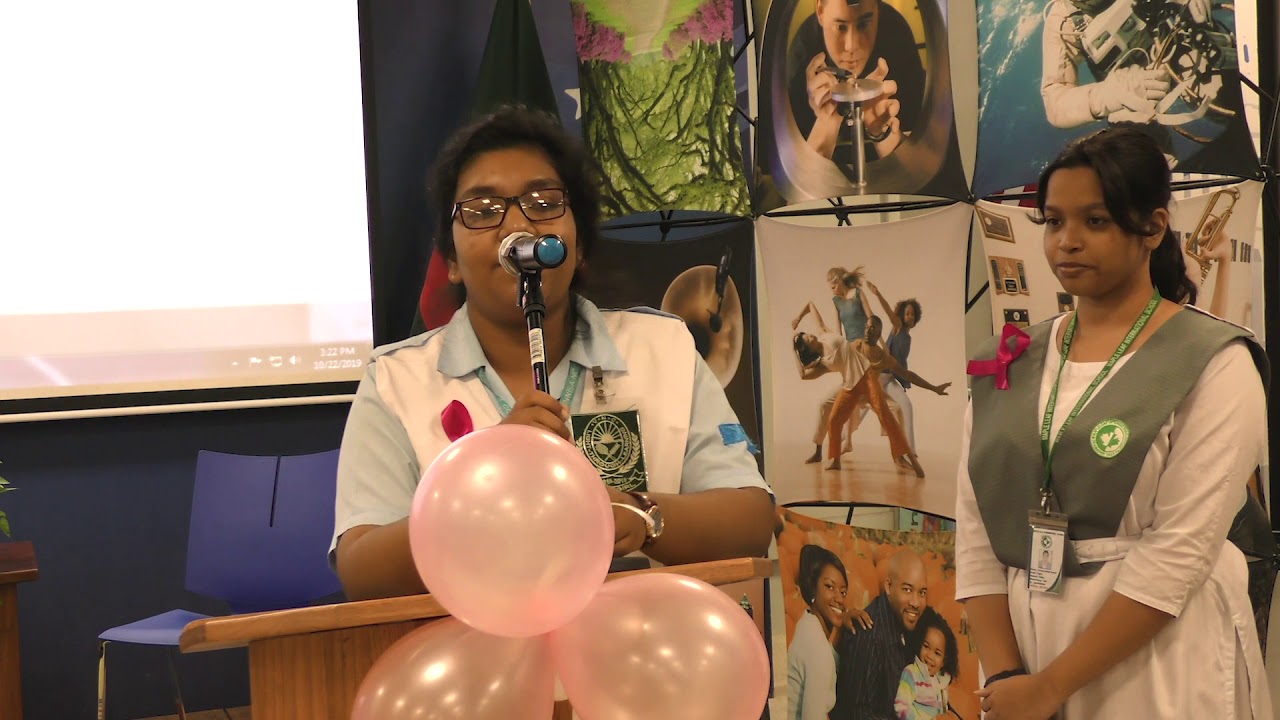 Breast Cancer Awareness Panel Discussion - YouTube