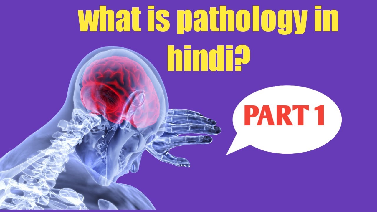 What Is Pathology In Hindi Bablu Yadav Medical Neurology YouTube what-is-pathology-in-hindi-bablu-yadav-medical-neurology-youtube