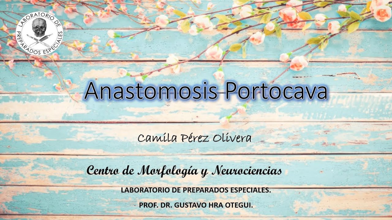 Anastomosis Portocava - YouTube