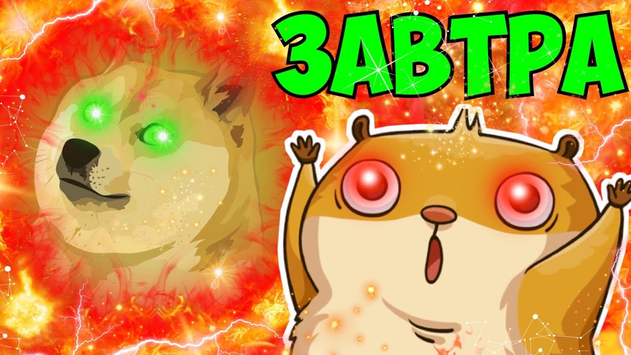DOGECOIN СЛЕДУЮЩИЙ НА ПАМП! УСПЕЙ ПОСМОТРЕТЬ ВИДЕО ДО ЗАВТРА! ДОГИКОИН ...