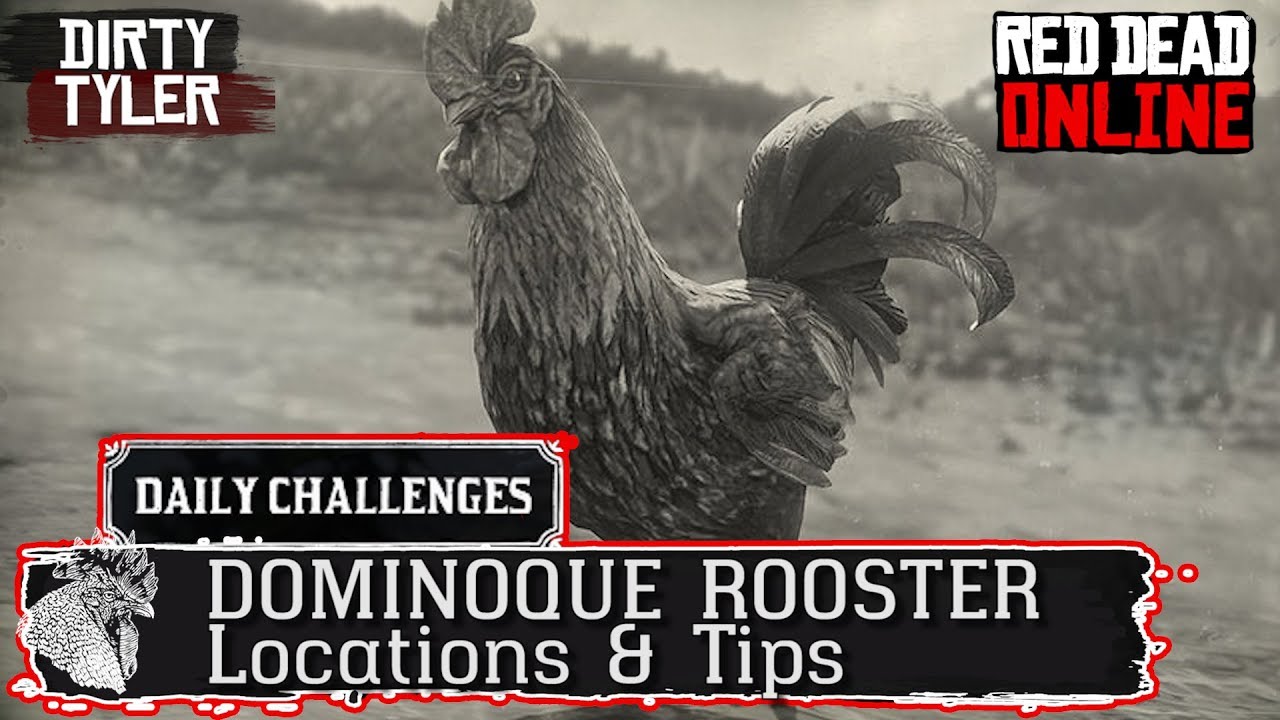 Rooster RDR2 Daily Challenges Location Red Dead Online - YouTube