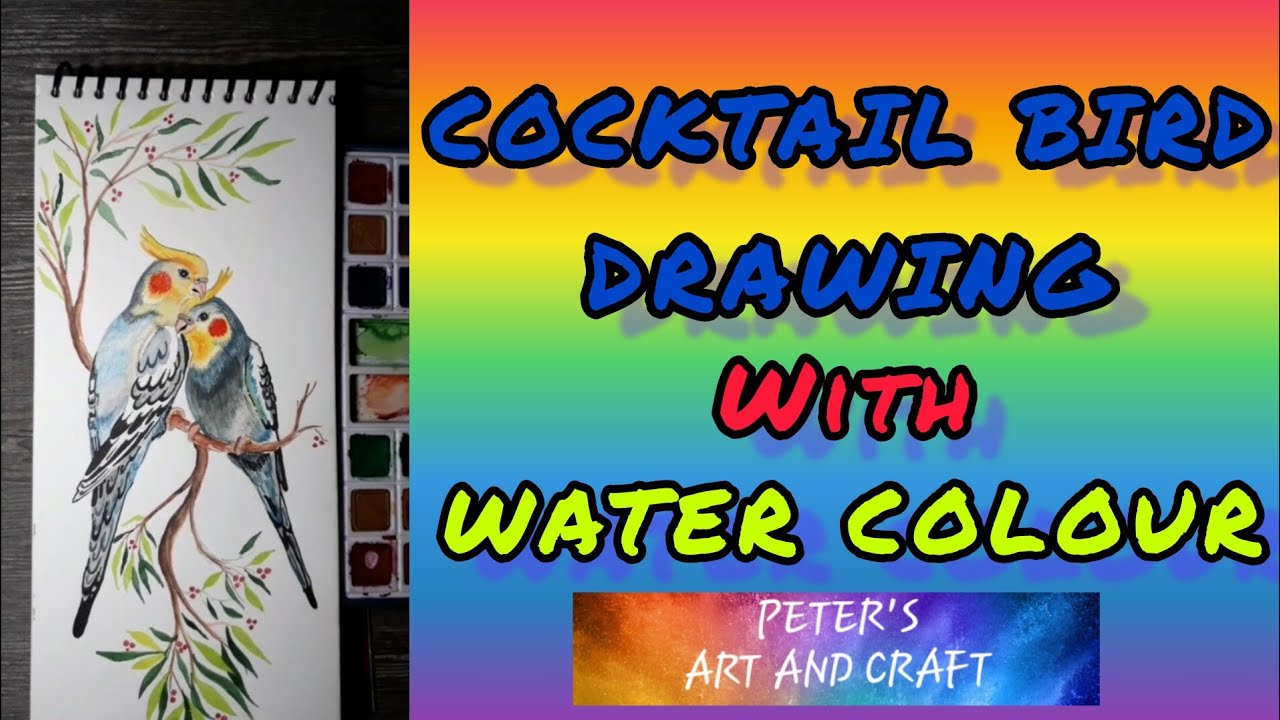 COCKTAIL BIRD DRAWING WITH WATER COLOUR - YouTube