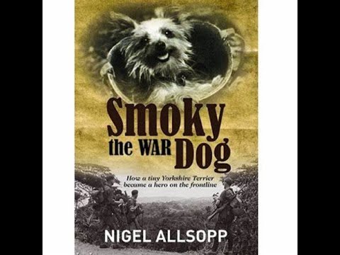 Famous Animals in History: The Story of Smoky, the Tiny WW2 Hero Dog ...