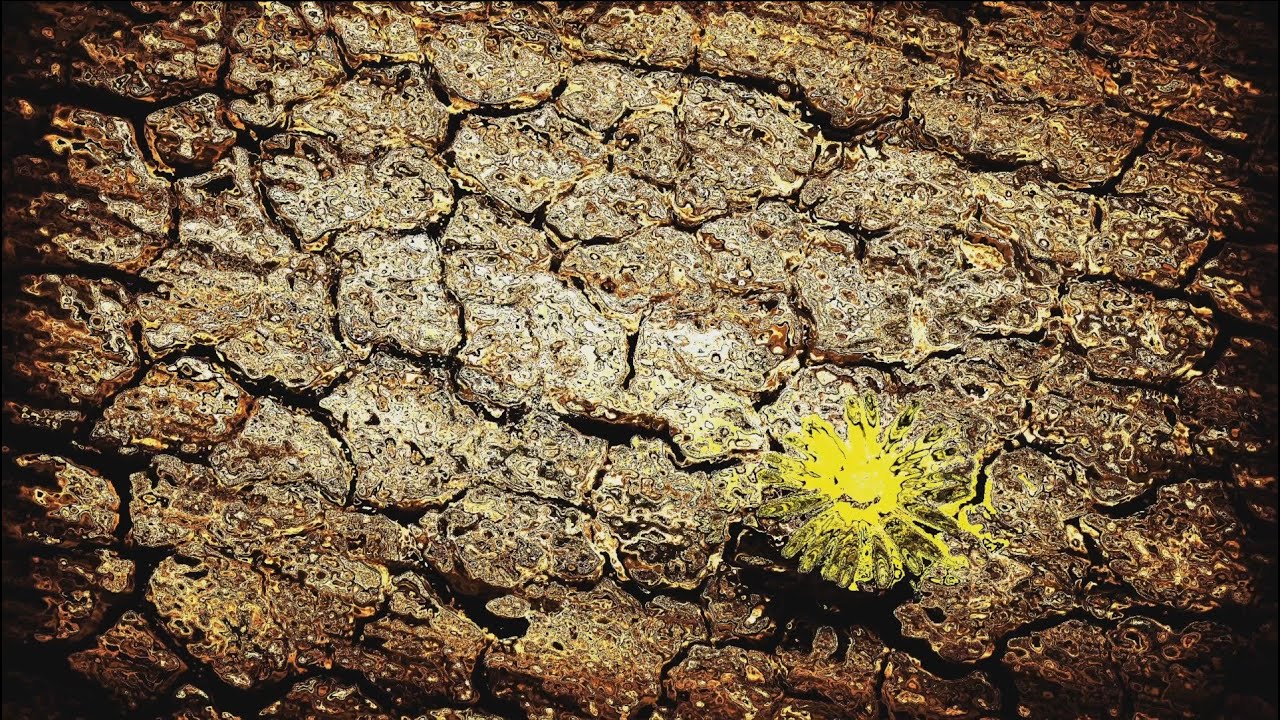 Monolake - Plumbicon (Rebreather mix) - YouTube