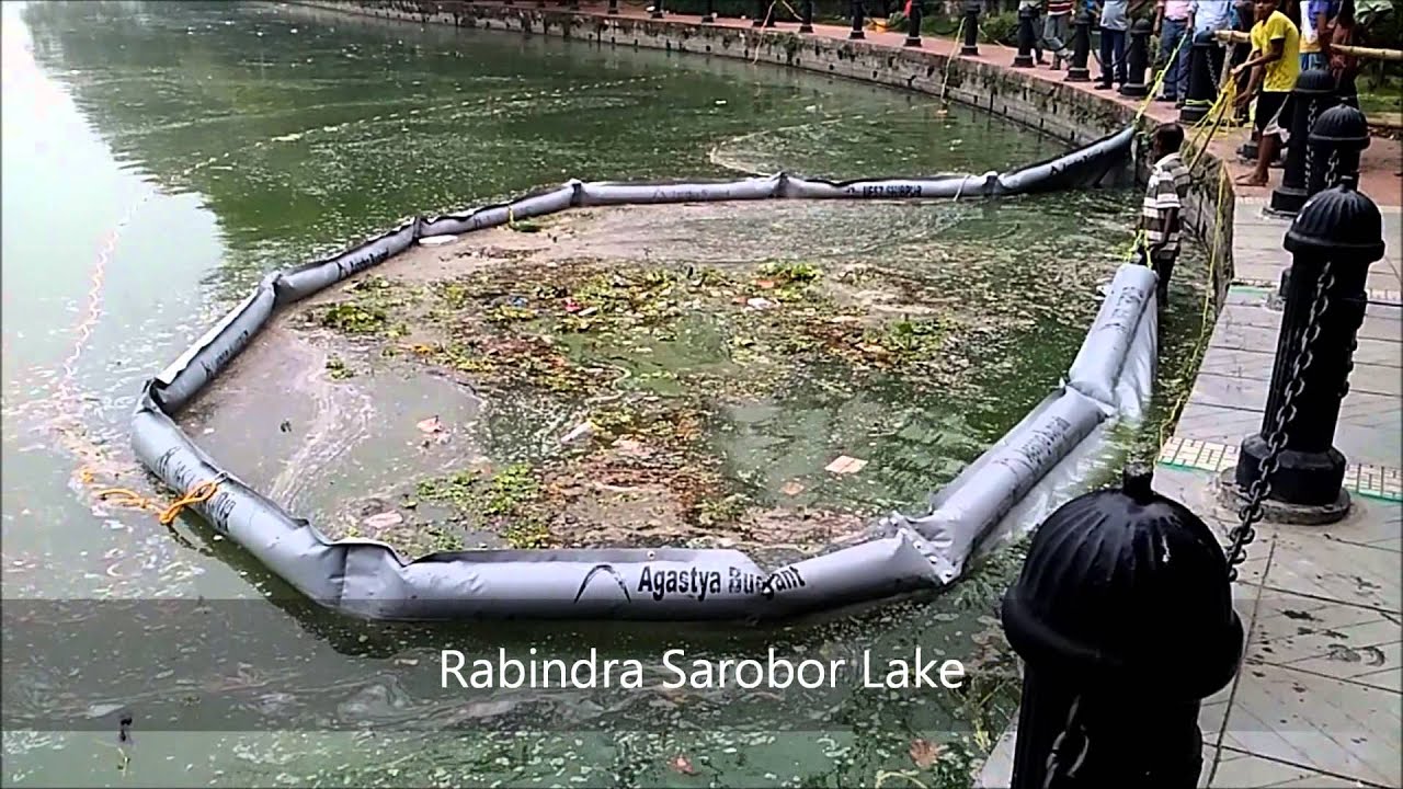 Rabindra Sarobar Lake Water Surface Cleaning - YouTube