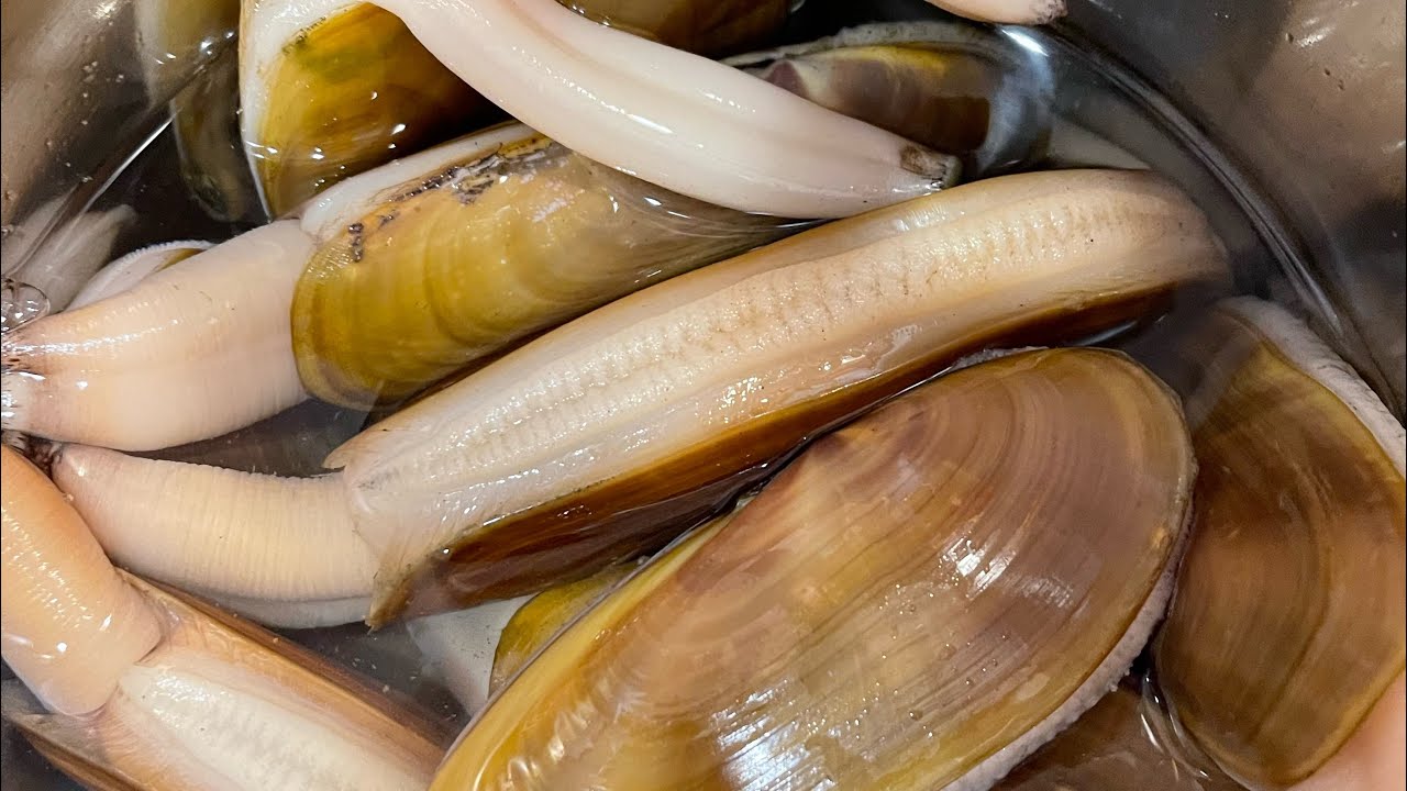 How To Clean Razor Clams. Easy Way To Do. English Version. #howto # ...