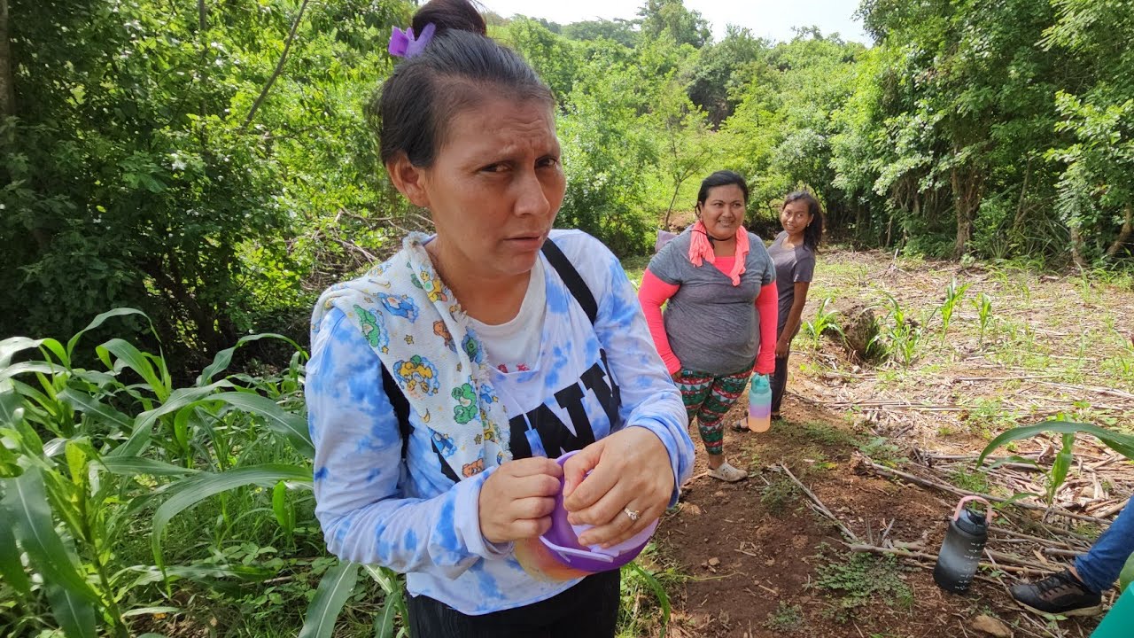 fuertes a claraciones de parte de chucha seca para muchos sobre la ...