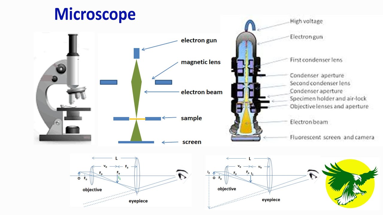 Grade (12) Physics Chapter (7) Electron Microscope - YouTube