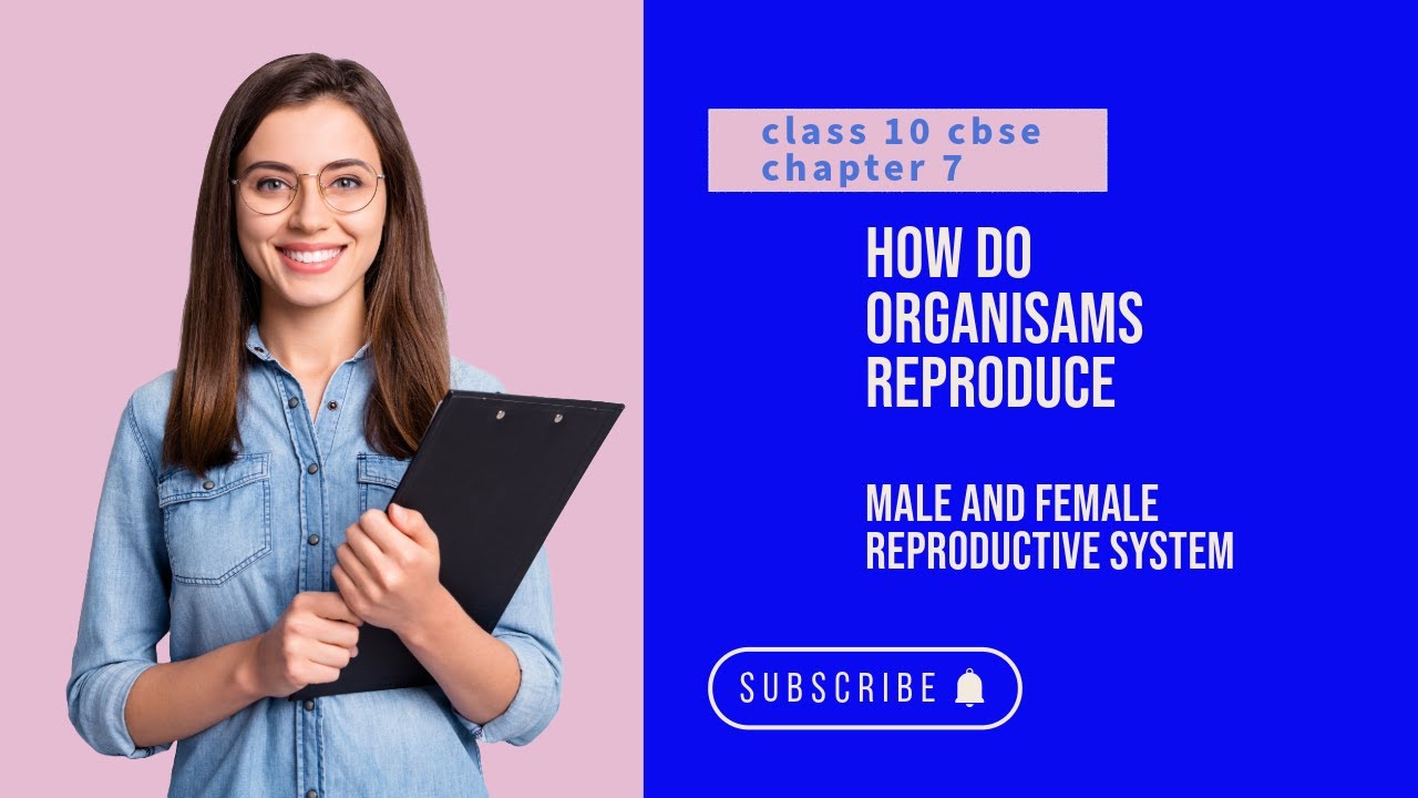 HOW DO ORGANISMS REPRODUCE(MALE AND FEMALE REPRODUCTIVE SYSTEM)CLASS 10 ...