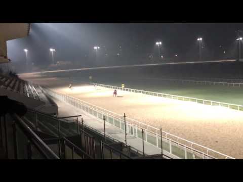 CEM CEM Pazar yarışı öncesi yapmış olduğu 1400 metrelik galobunda