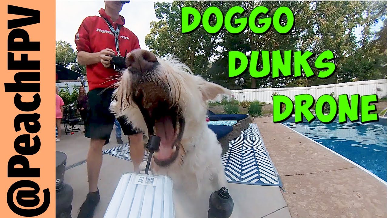 Doggo Dunks Drone | 6S FPV Fail - YouTube