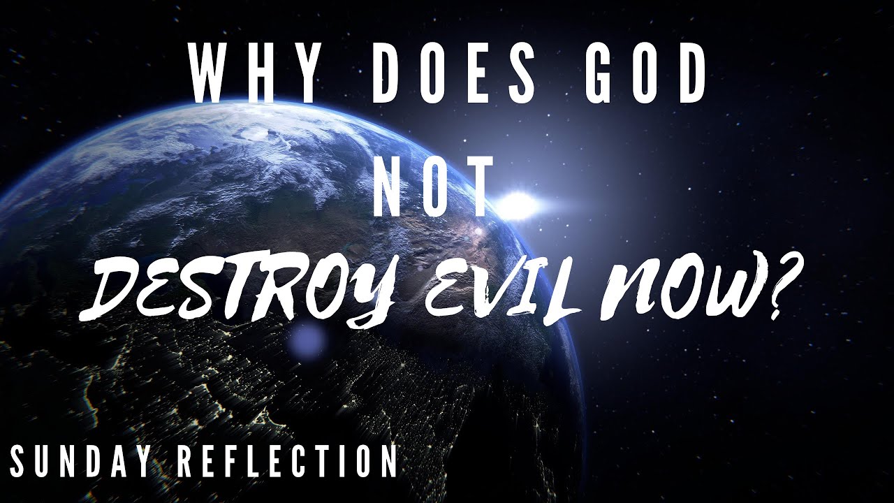 Why Does God Not Destroy Evil Now Homily For The 16th Sunday Of The why-does-god-not-destroy-evil-now-homily-for-the-16th-sunday-of-the