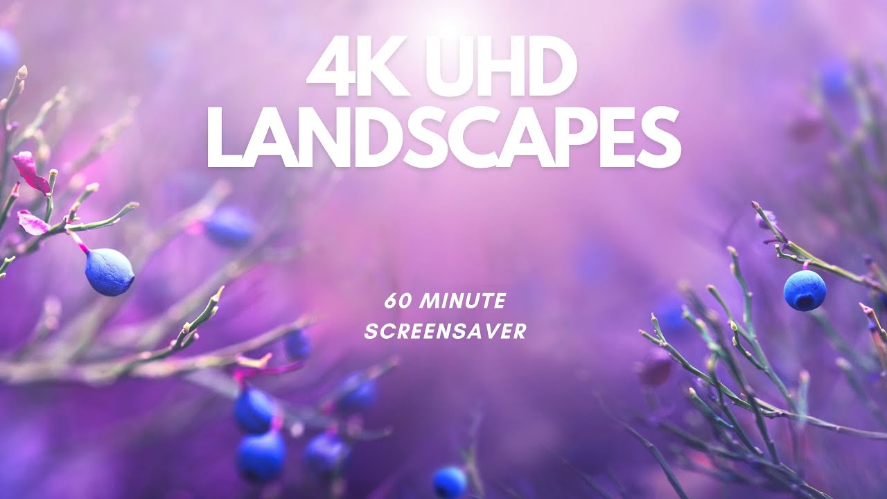 4K UHD! 60 Minute Landscape Art Screensaver - YouTube