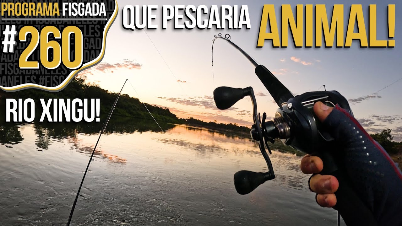 QUE PESCARIA ANIMAL!!! (RIO XINGU) - YouTube