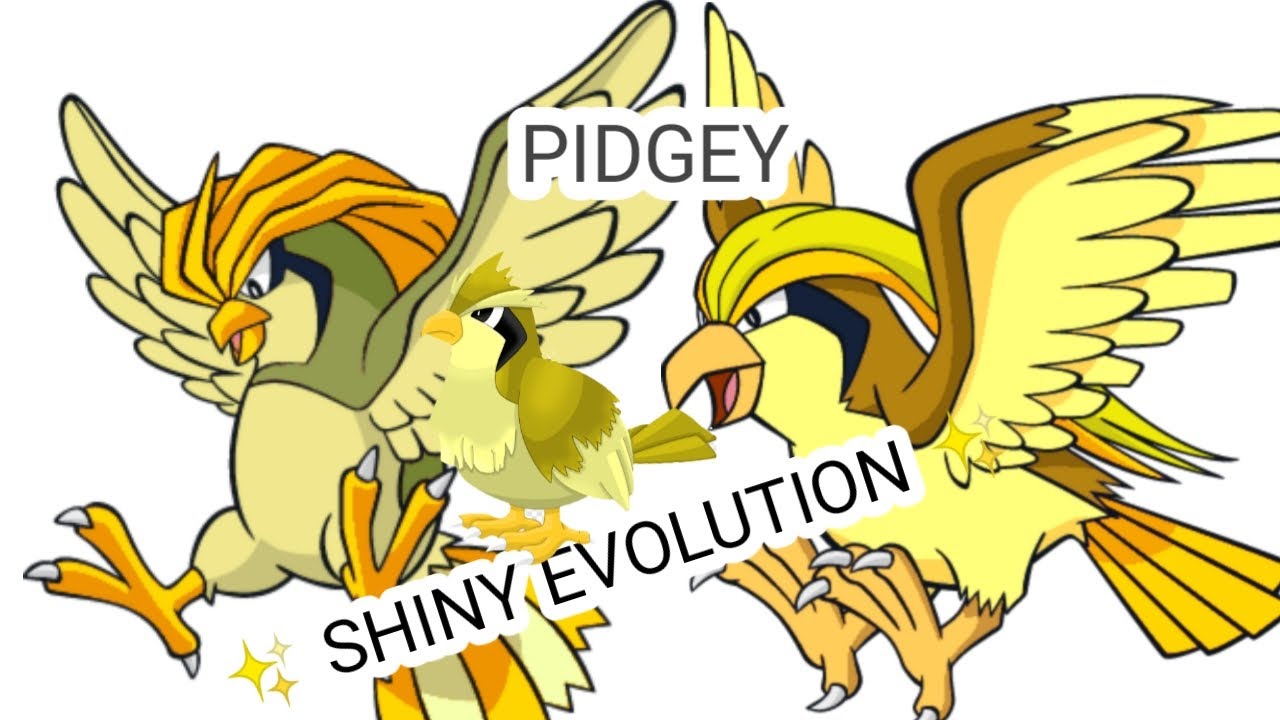 SHINY Pidgey EVOLUTION || Pokemon fire red 🔥 - YouTube