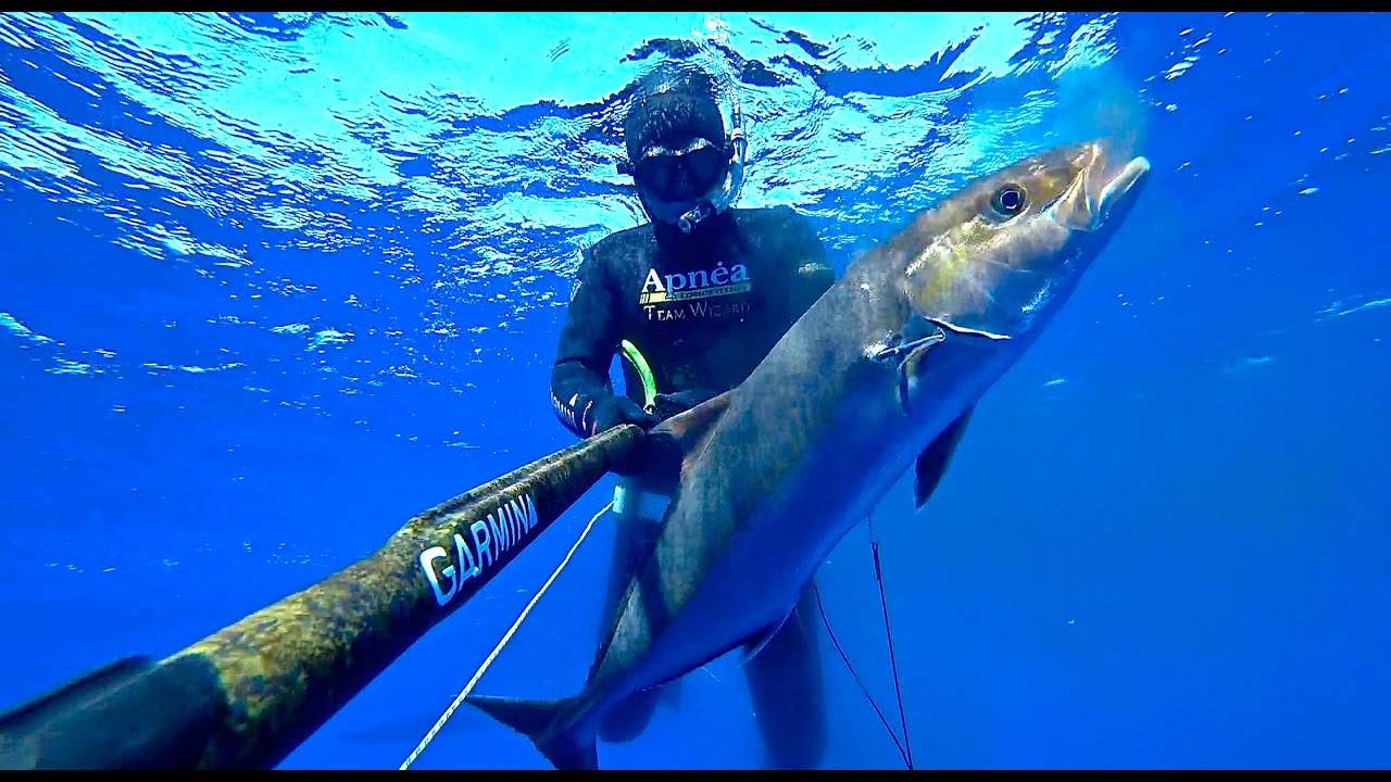Spearfishing 2021 best shots shallow and deep !! - YouTube