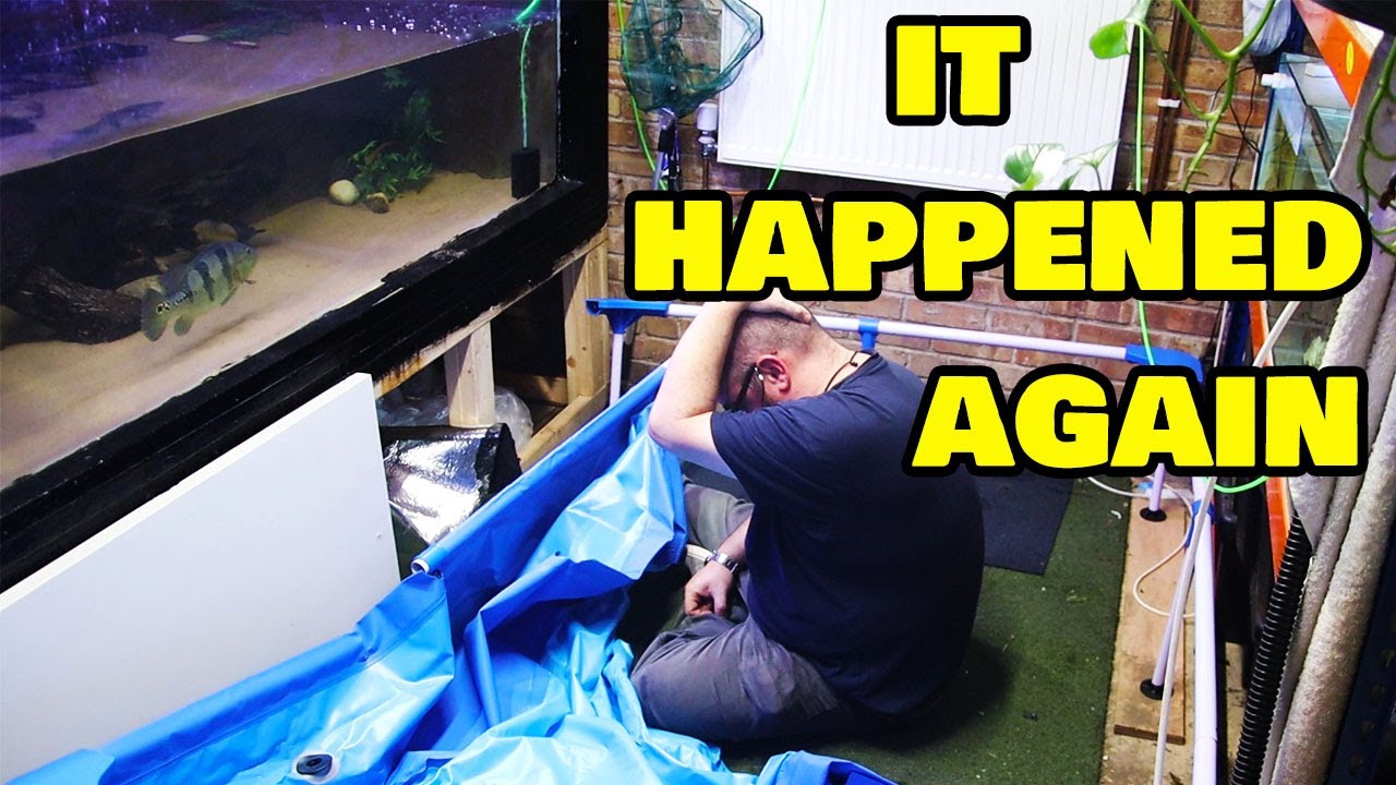 Mega-failure - Monster fish tank failed. - YouTube