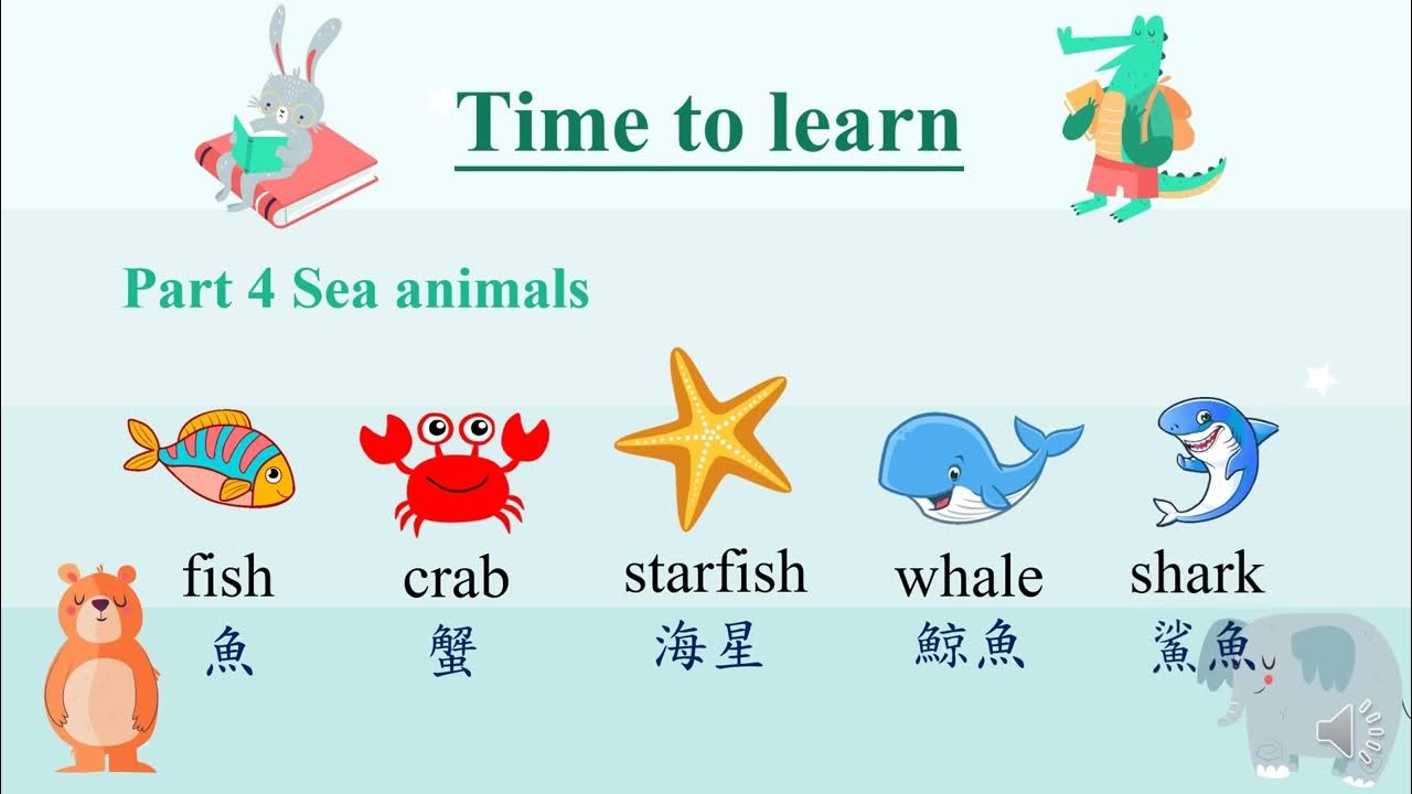 1B Time to learn Part 4 6 - YouTube