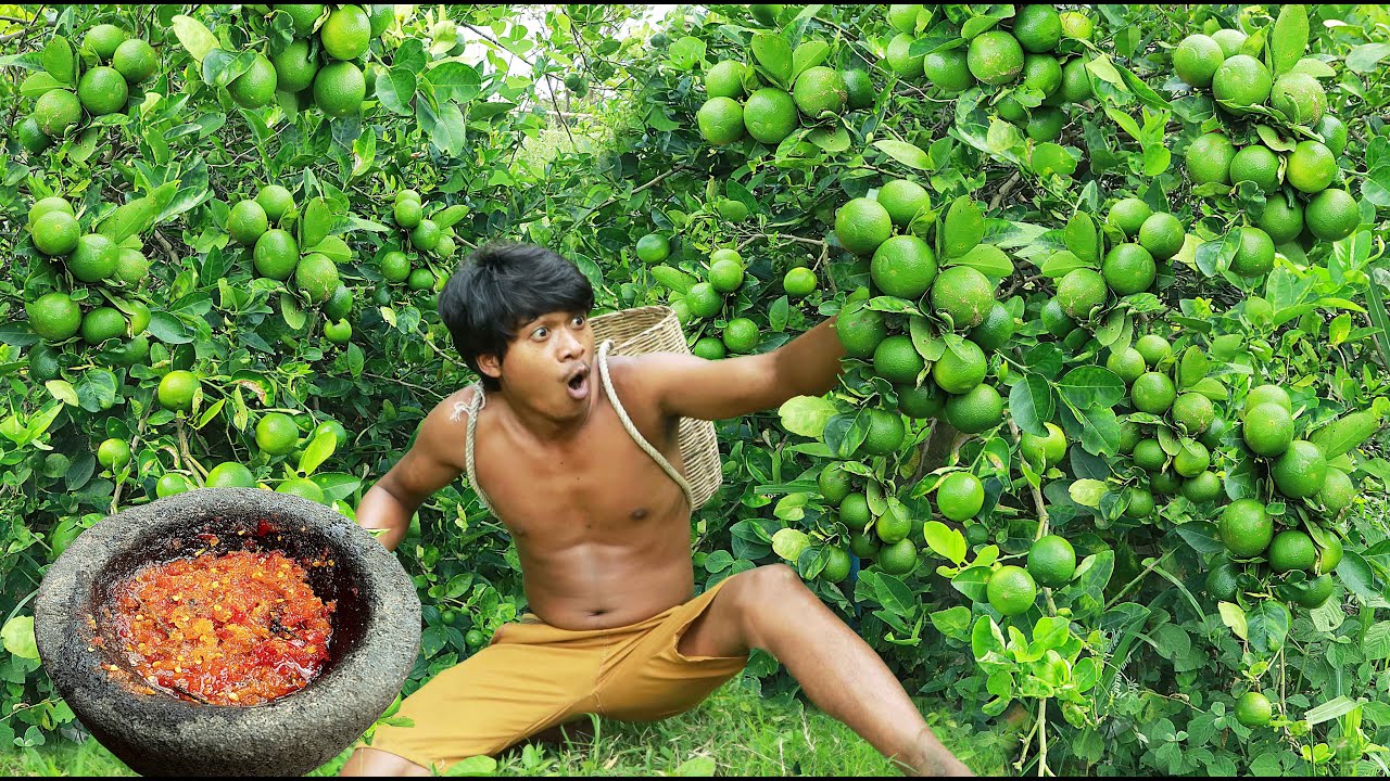 lemon with salt chili eating very sour spicy so delicious - YouTube