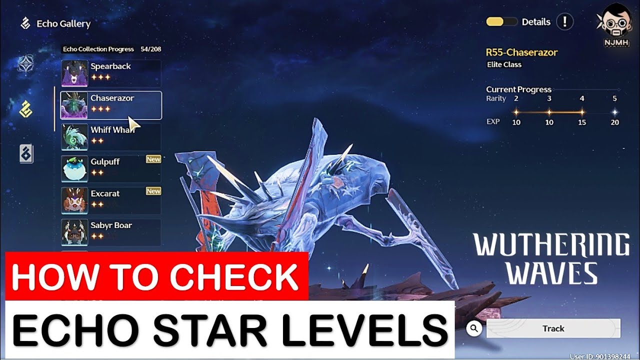 How to Check Your Echo Star Level and Echo Collection Progress in ...
