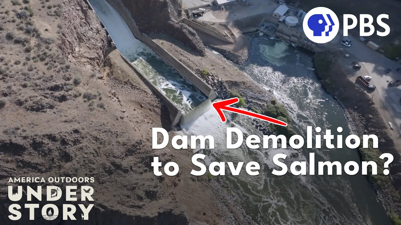 Is The Future of California's Salmon Dam Demolition? - YouTube
