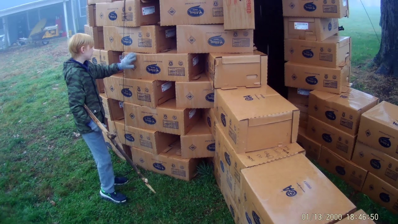 The Rise and Fall of an Epic Box Fort - YouTube