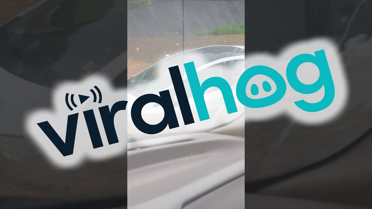 Prius Driving Through Flood Fail || ViralHog - YouTube