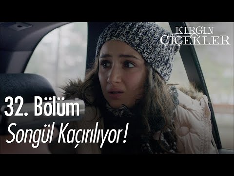 Songül kaçırılıyor! - Kırgın Çiçekler 32. Bölüm