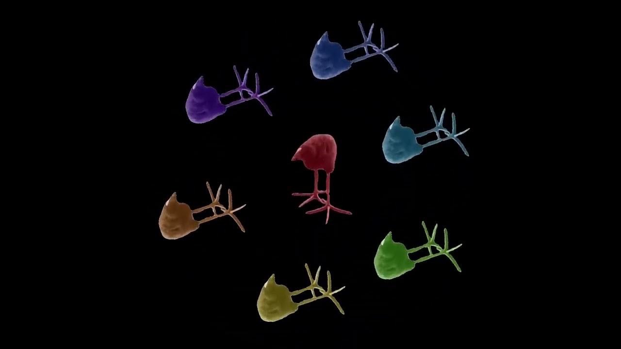 Undertale OST: 080 - Finale but sang by kiwi birds - YouTube