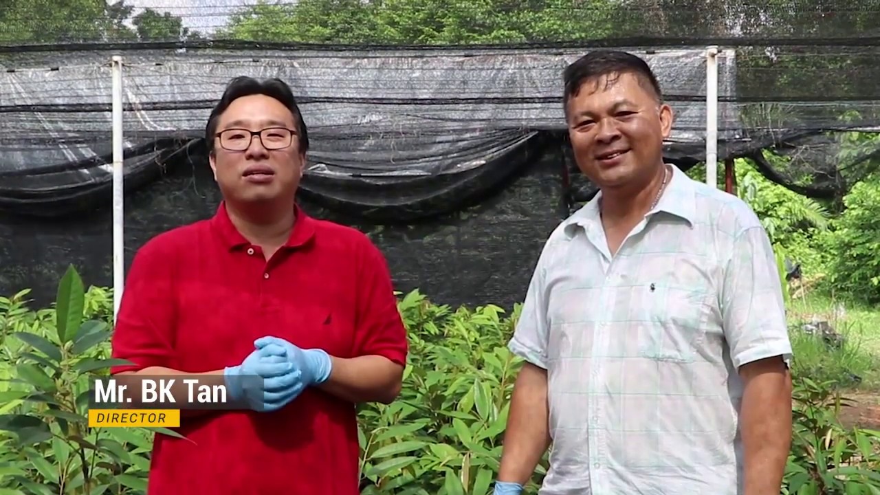 Ori Black Soldier Fly - YouTube