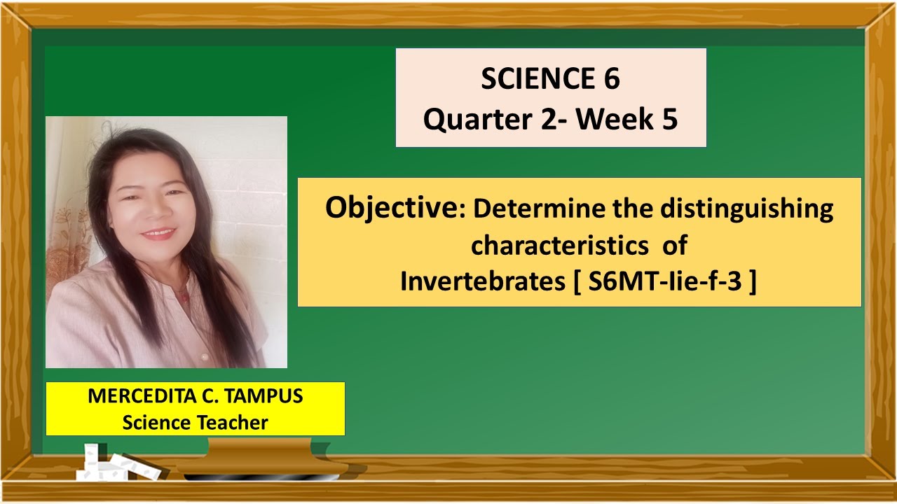 SCIENCE 6 Quarter 2 Week 5 - Invertibrate Animals - YouTube