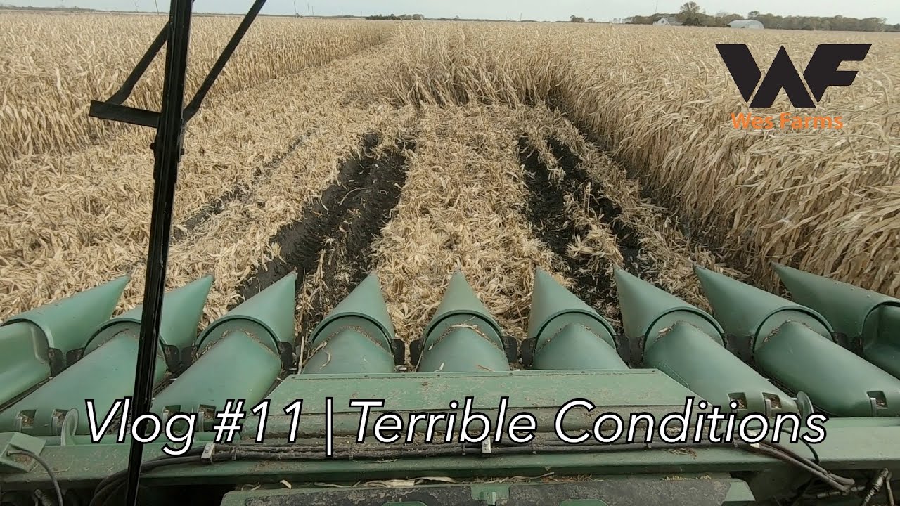 What a muddy mess! Corn Harvest 2019 Vlog 11 - YouTube