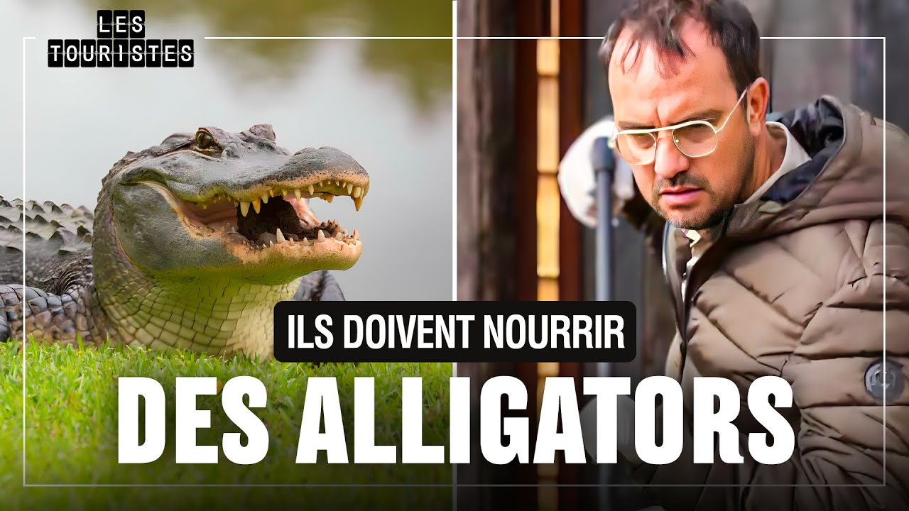 Jarry au bout de sa vie face aux alligators 🤣 | Les Touristes - YouTube