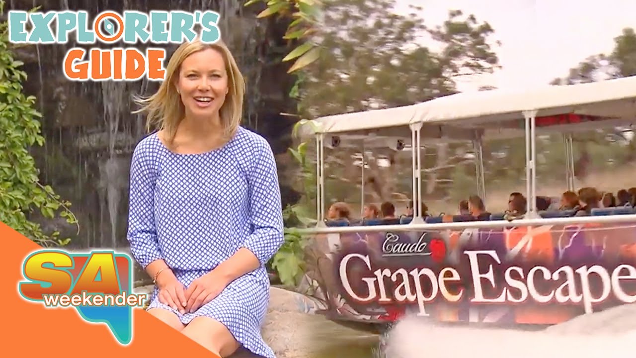 Kelly Golding Goes On A Wild Boat Wine Tour | Full Episode | SA ...