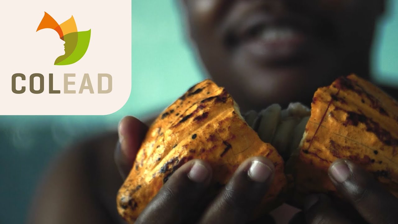 COLEAD - COmmittee Linking Entrepreneurship-Agriculture-Development - YouTube