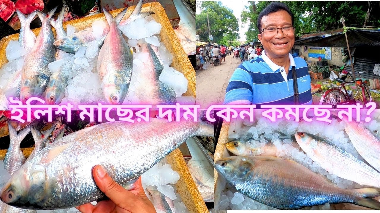 ইলিশ মাছের দাম কেন কমছে না ? || Fish & Vegetable Market || Chowk Bazar ...