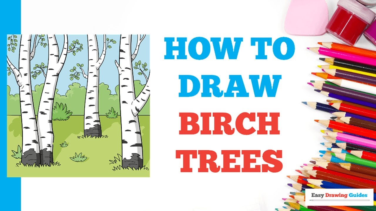 How to Draw Birch Trees: Easy Step by Step Drawing Tutorial for ...