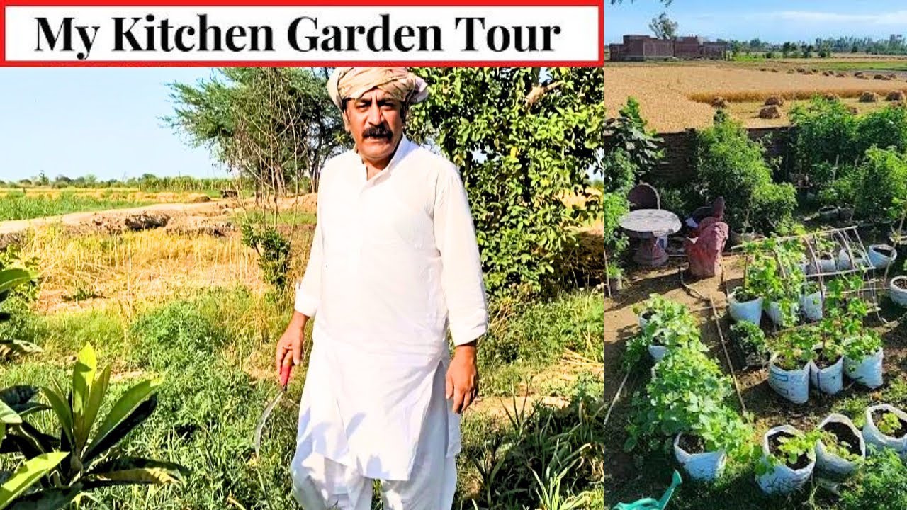 Kitchen Garden Tour: A Step-by-Step Guide to Growing Your Own Food ...