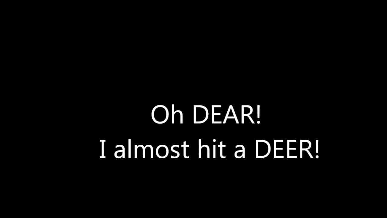 Oh DEAR! I almost hit a DEER! - YouTube