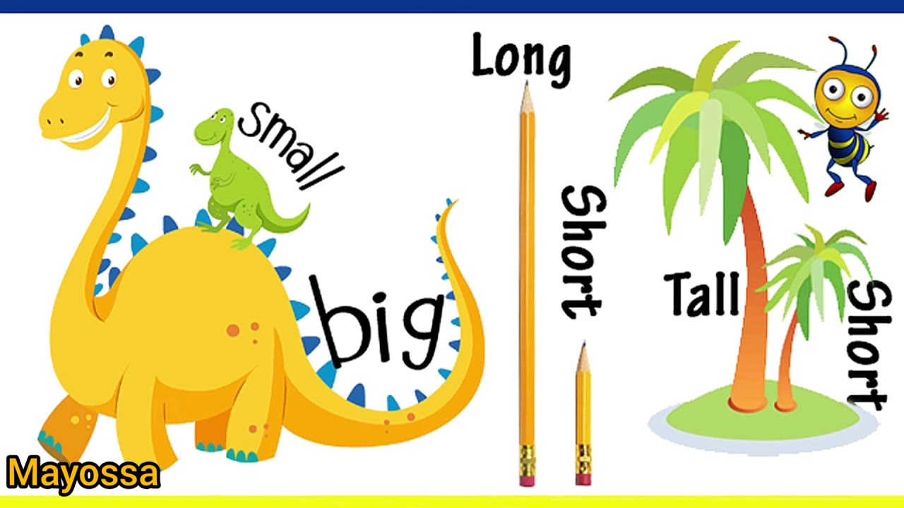 Big And Small Tall And Short Learn For Kids YouTube big-and-small-tall-and-short-learn-for-kids-youtube