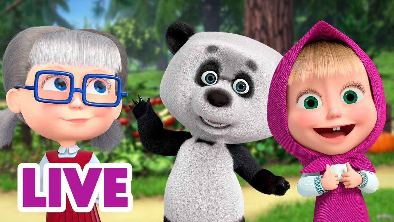 🔴 AO VIVO Masha e o Urso 🐾 As Patas Corajosas 💛🐾 Masha and the Bear ...