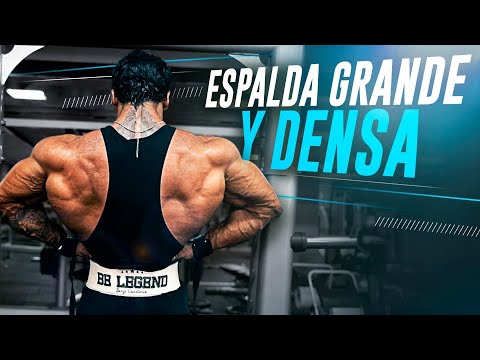 BACK WORKOUT - ENTRENAMIENTO DE ESPALDA
